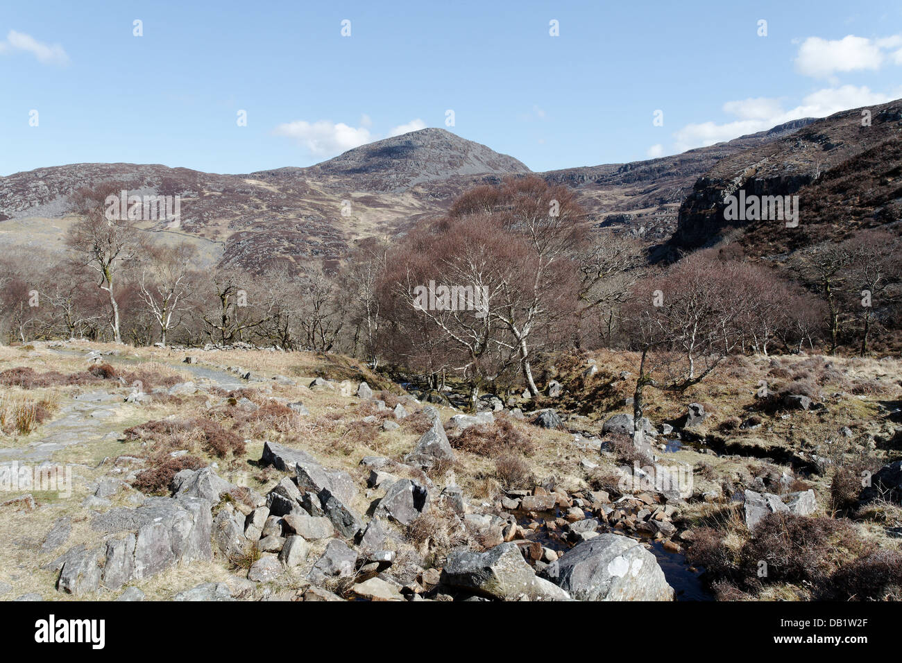 Roman steps wales hi-res stock photography and images - Alamy