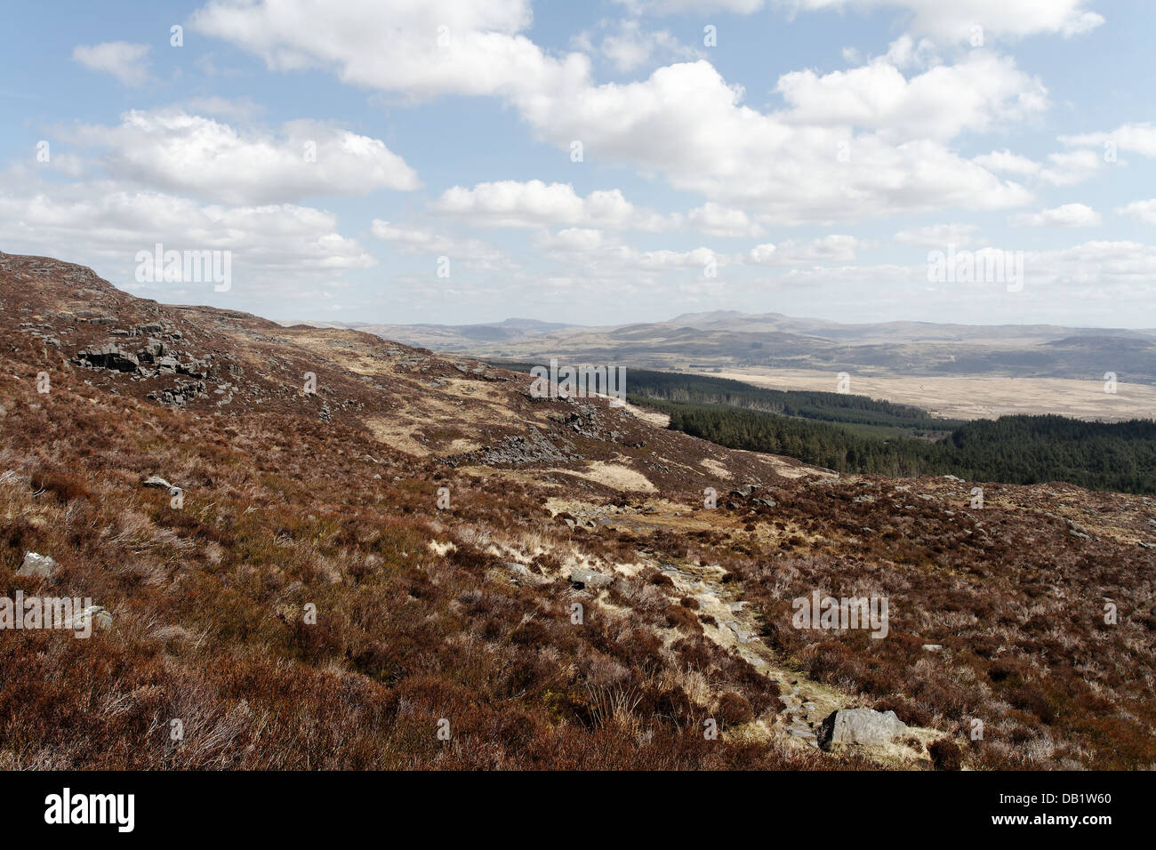 Rhinogs hi-res stock photography and images - Alamy