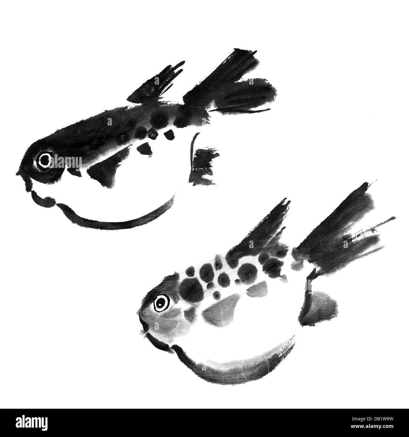 Swellfish hi-res stock photography and images - Alamy