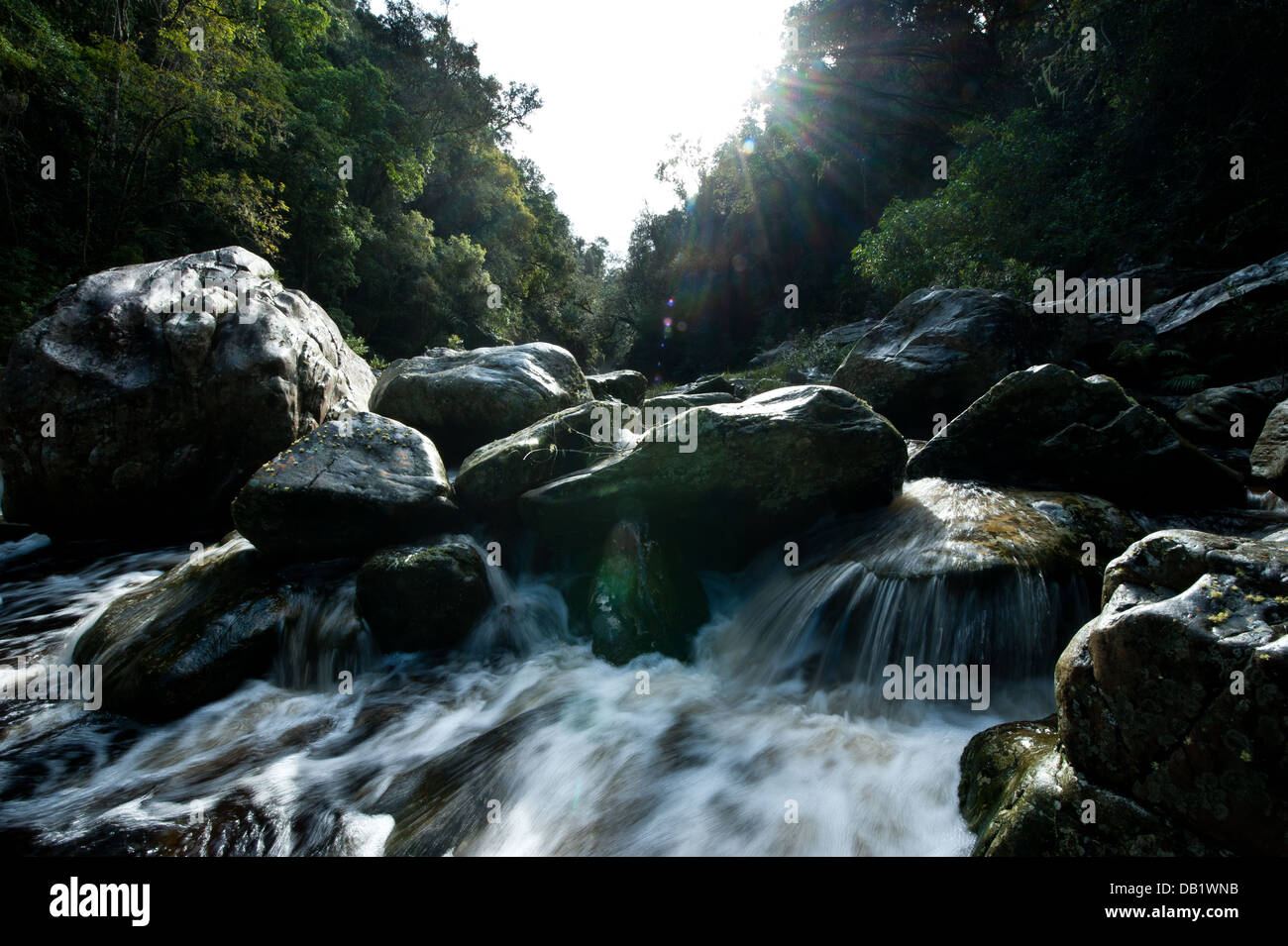 Natural mountain water flowing over large rocks with forest in ...