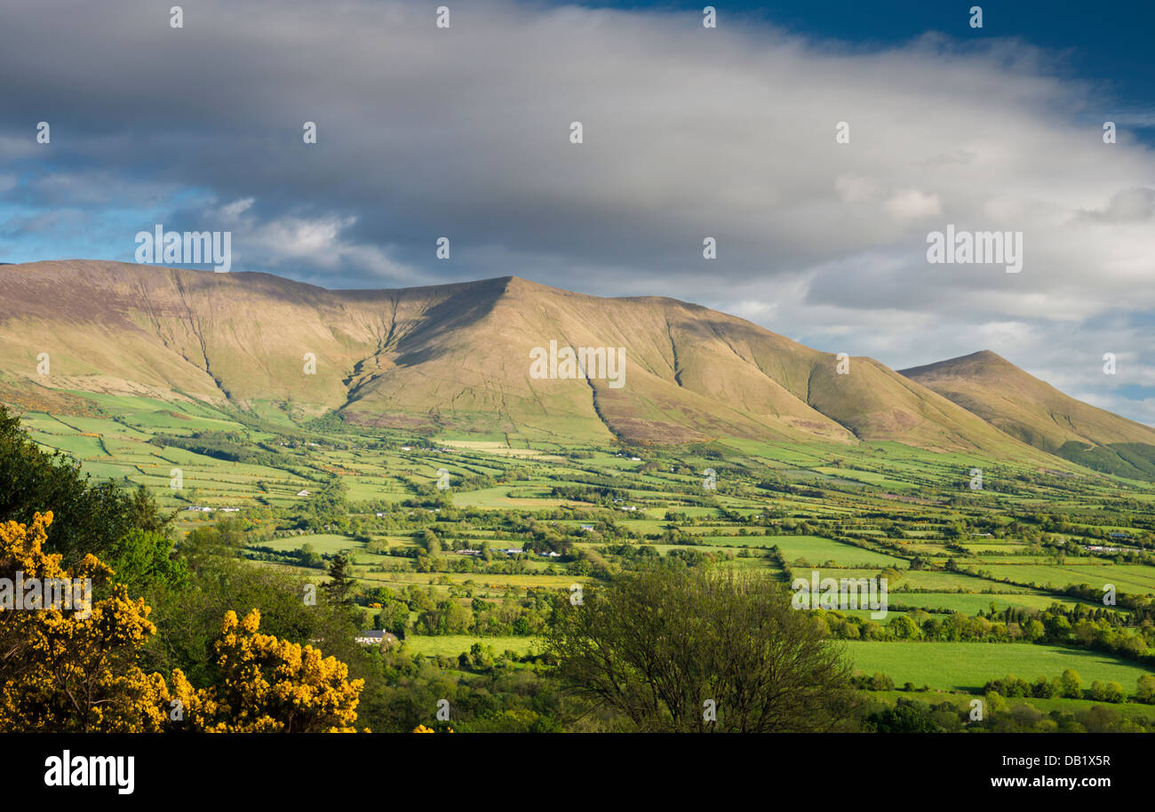 View towards the glacially-sculpted Galty Mountains from Lisvarrinane ...