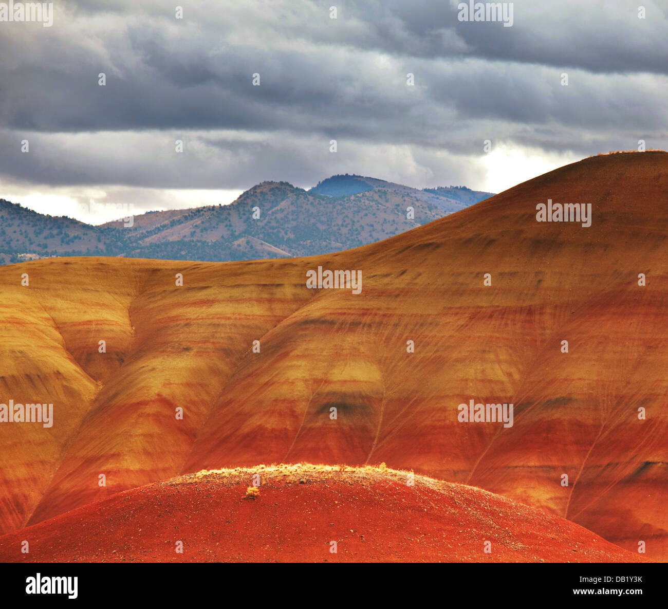 Golden hills hi-res stock photography and images - Alamy