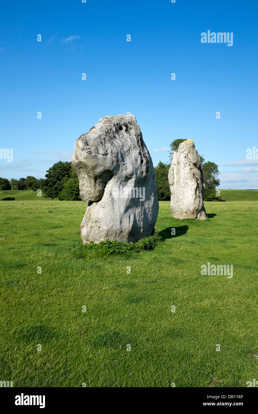 Neolithic horse hi-res stock photography and images - Alamy