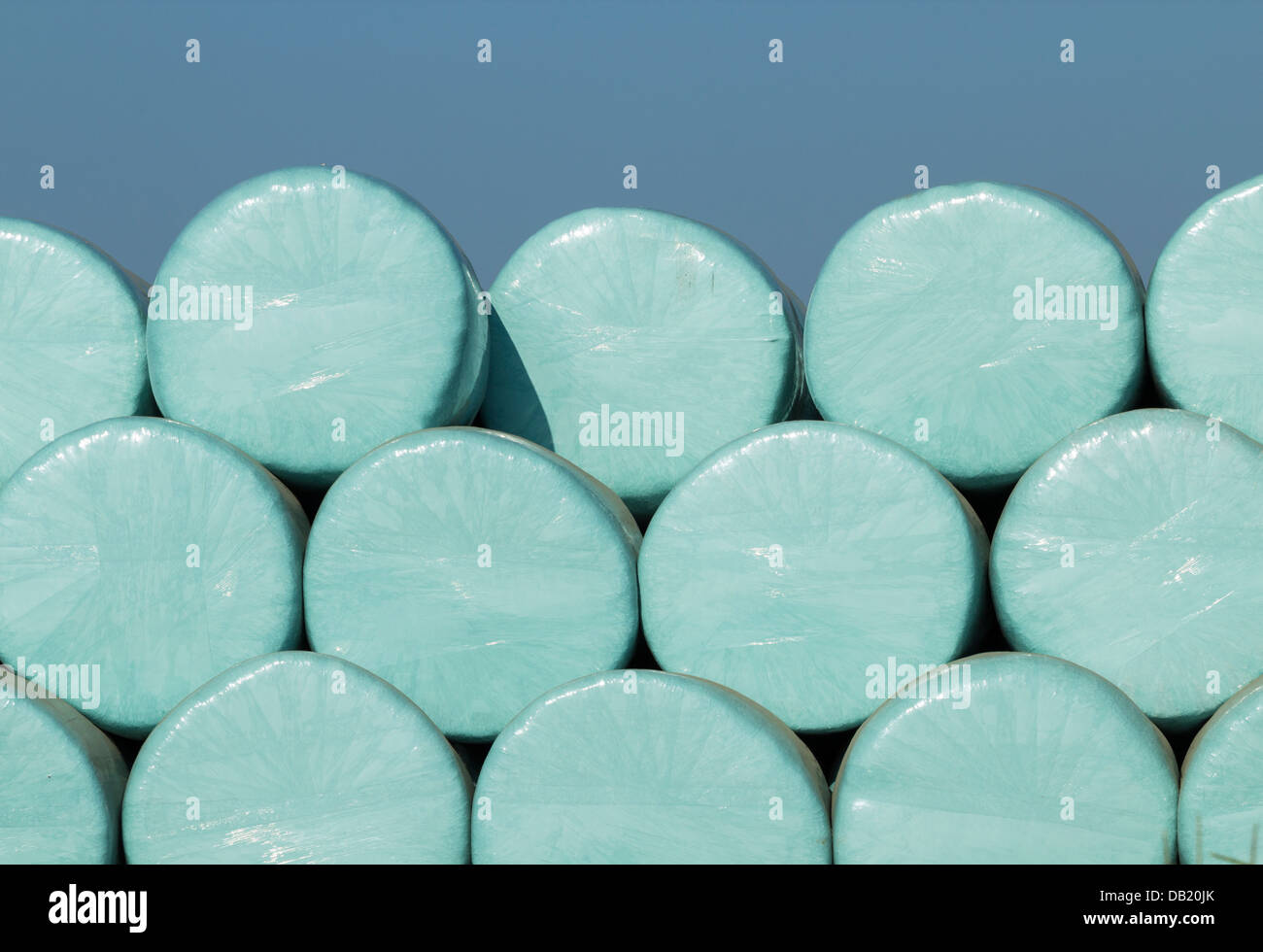Round hay bails wrapped in plastic on farm in England, UK Stock Photo ...