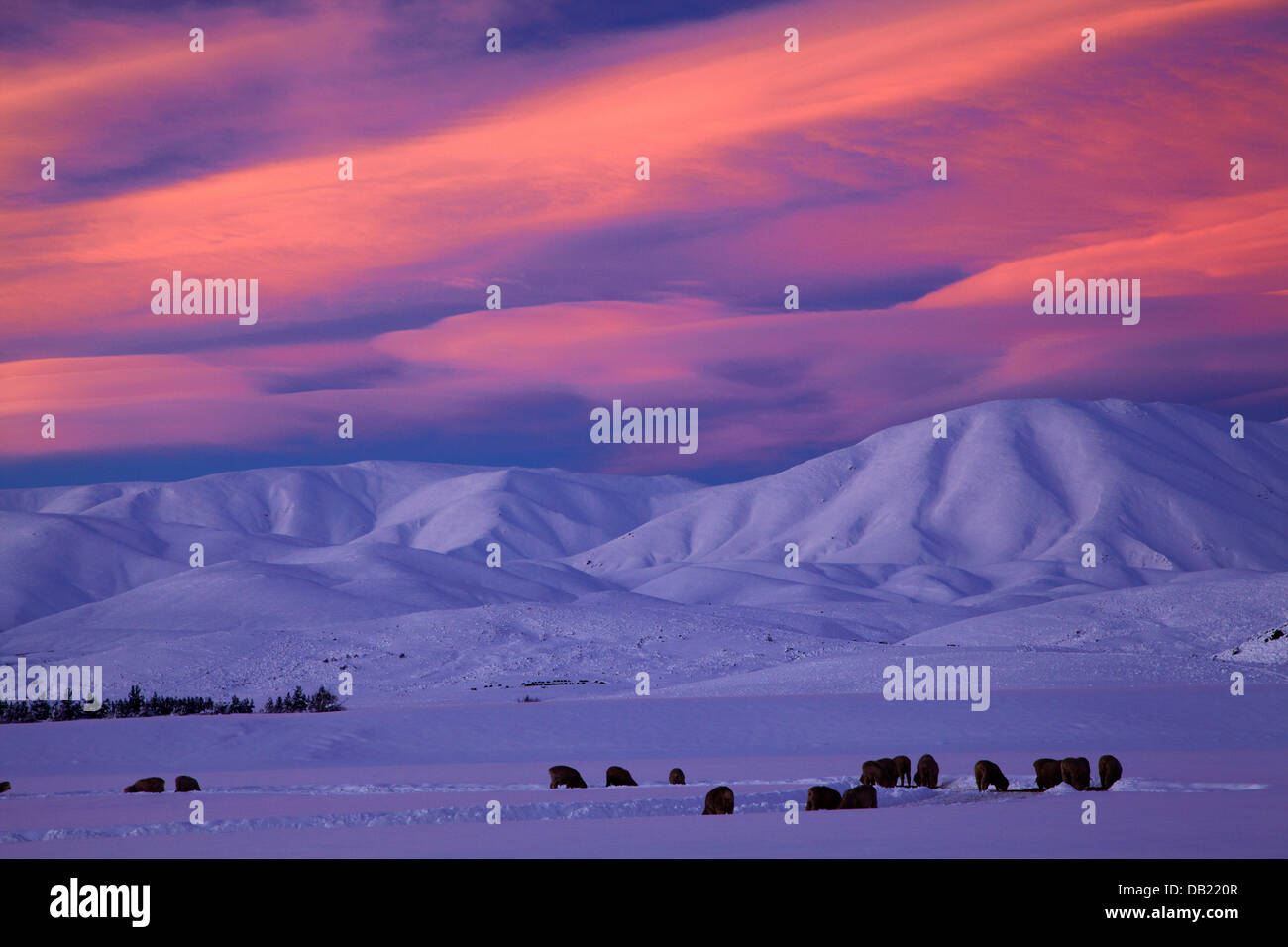 Hawkdun range hi-res stock photography and images - Alamy