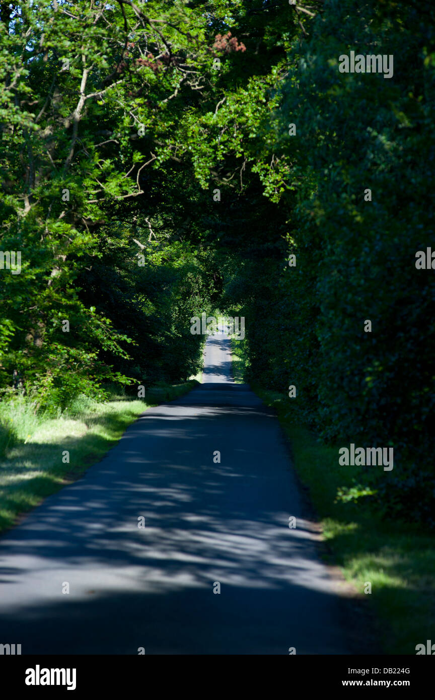 Country lanes hi-res stock photography and images - Alamy