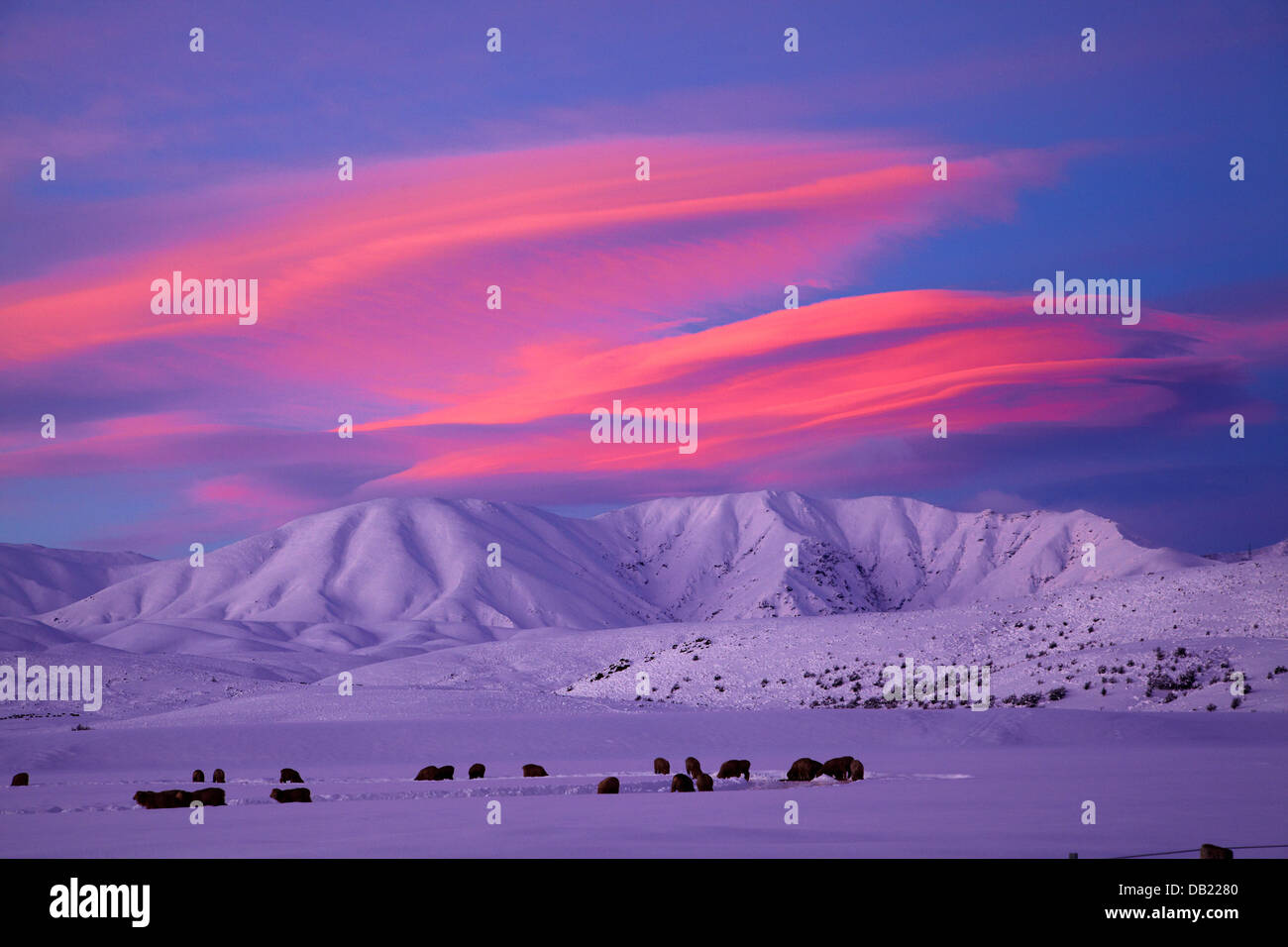 Sunset over Hawkdun Range and snowy farmland, near Oturehua, Maniototo, Central Otago, South ...