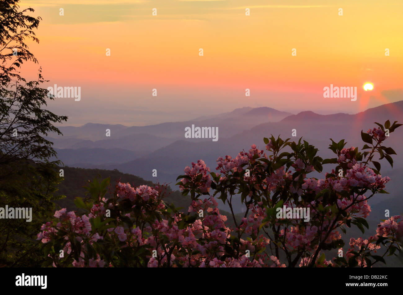 Blue ridge mountain sunrise hi-res stock photography and images - Alamy