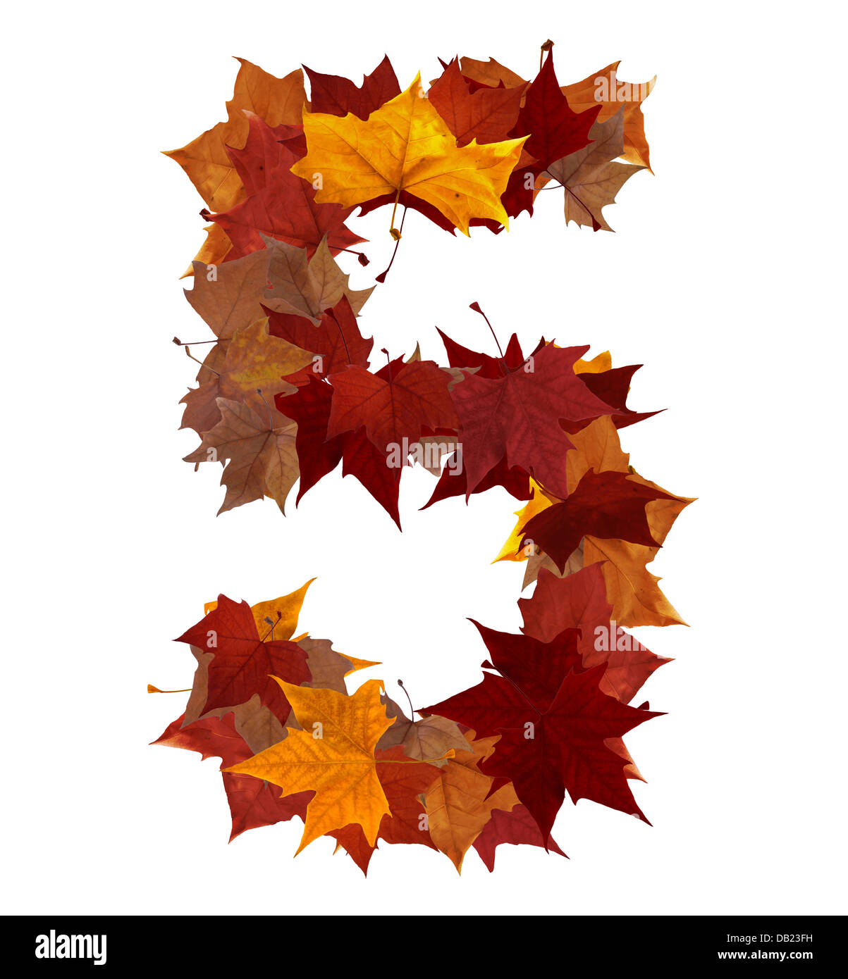 Number five multicolored fall leaf composition isolated Stock Photo - Alamy