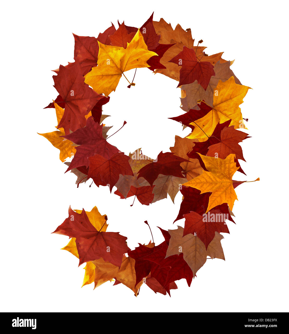 Number nine multicolored fall leaf composition isolated Stock Photo - Alamy