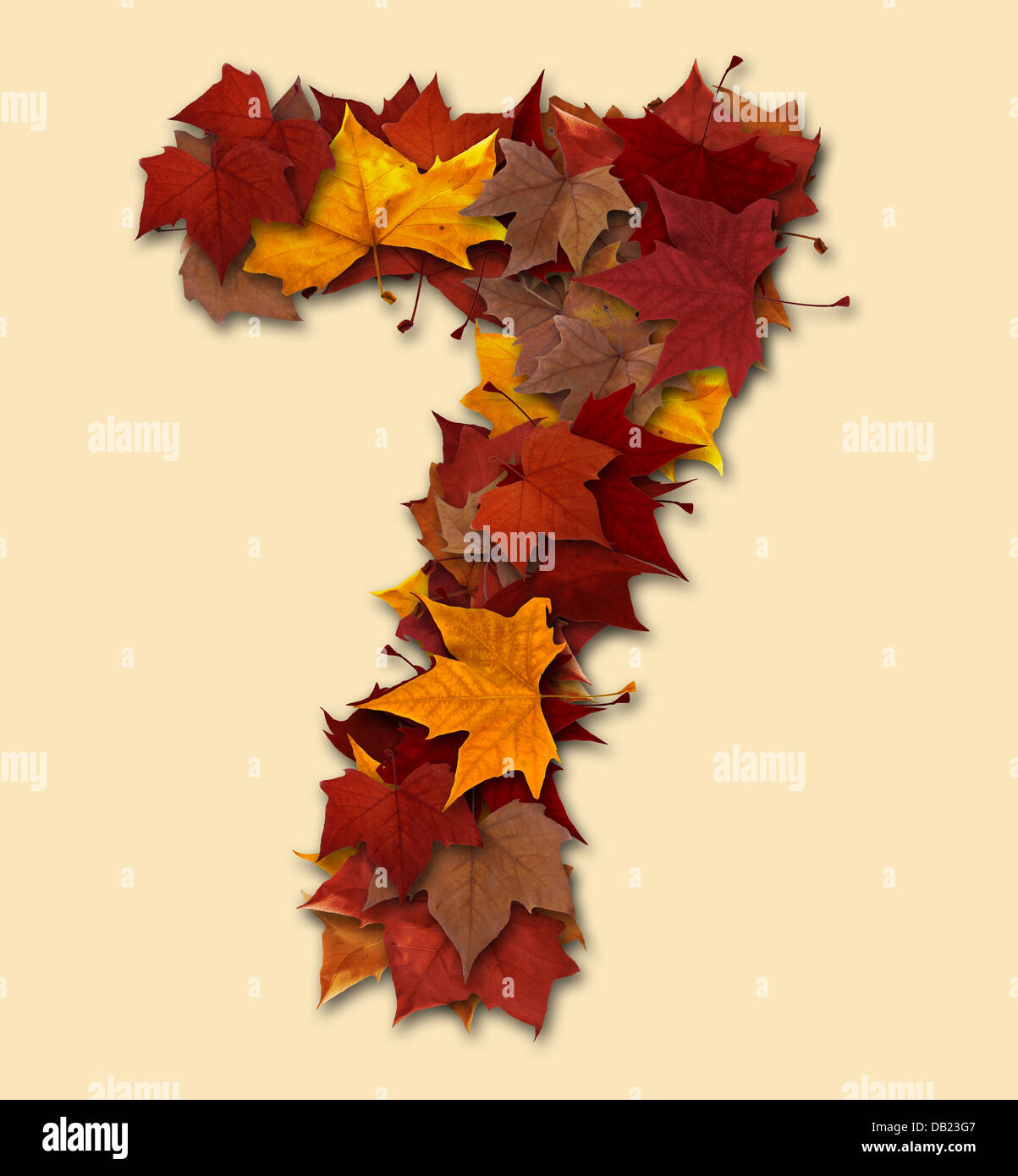 Number 7 leaves hi-res stock photography and images - Alamy