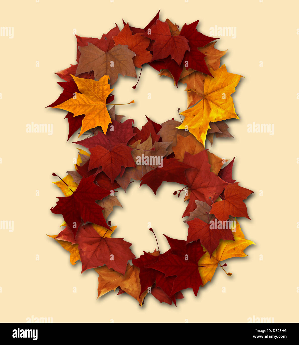 Number eight multicolored fall leaf composition isolated Stock Photo ...