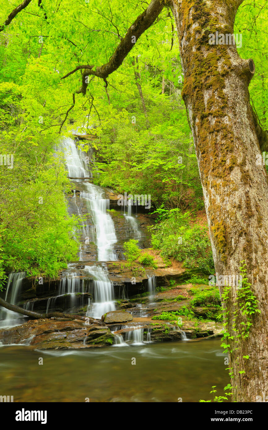 Toms Branch Falls, Deep Creek, Great Smoky Mountains National Park ...