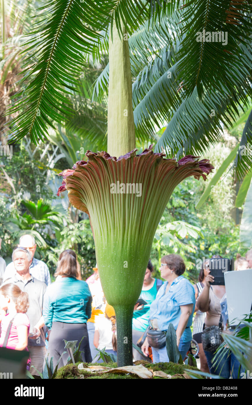 Alamy flower photo hi-res stock photography and images - Alamy