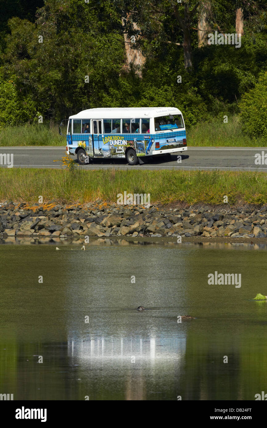 Dunedin buses hi-res stock photography and images - Alamy