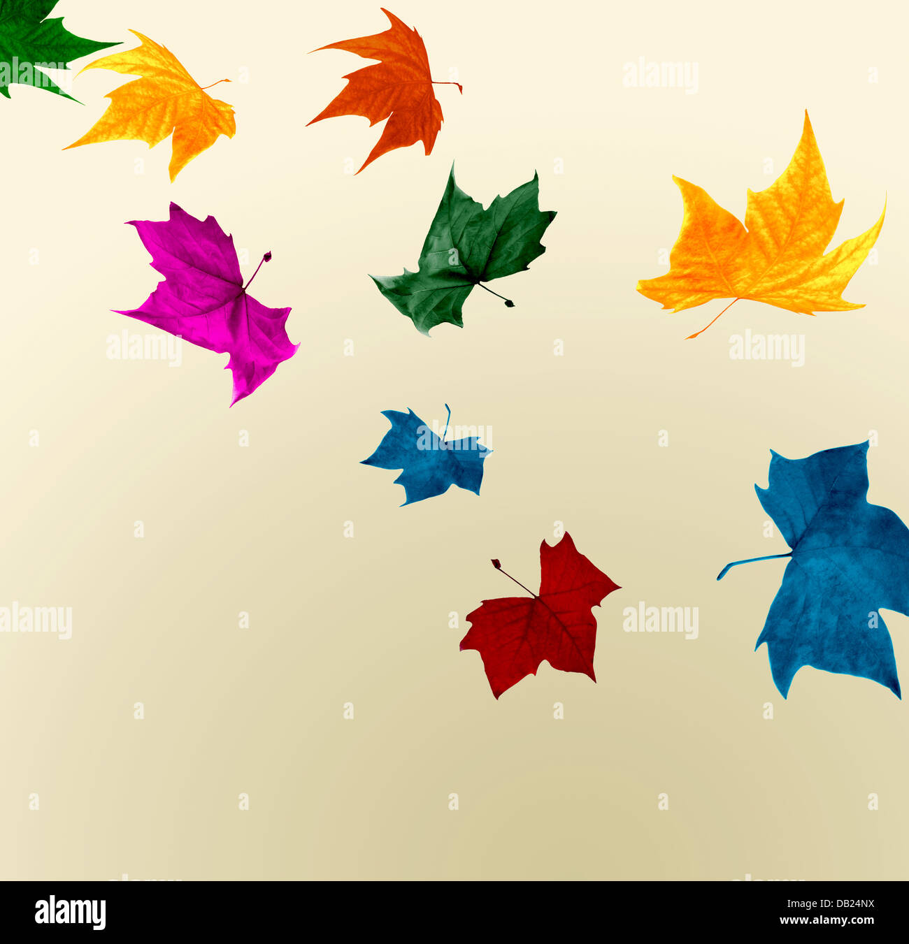 Shocking colors hi-res stock photography and images - Alamy