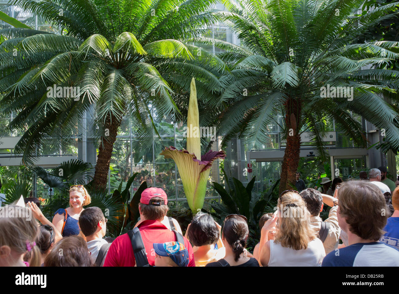 Alamy flower photo hi-res stock photography and images - Alamy