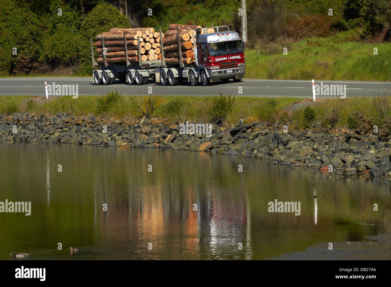 Logging truck with export logs near Port Chalmers, Dunedin, Otago ...