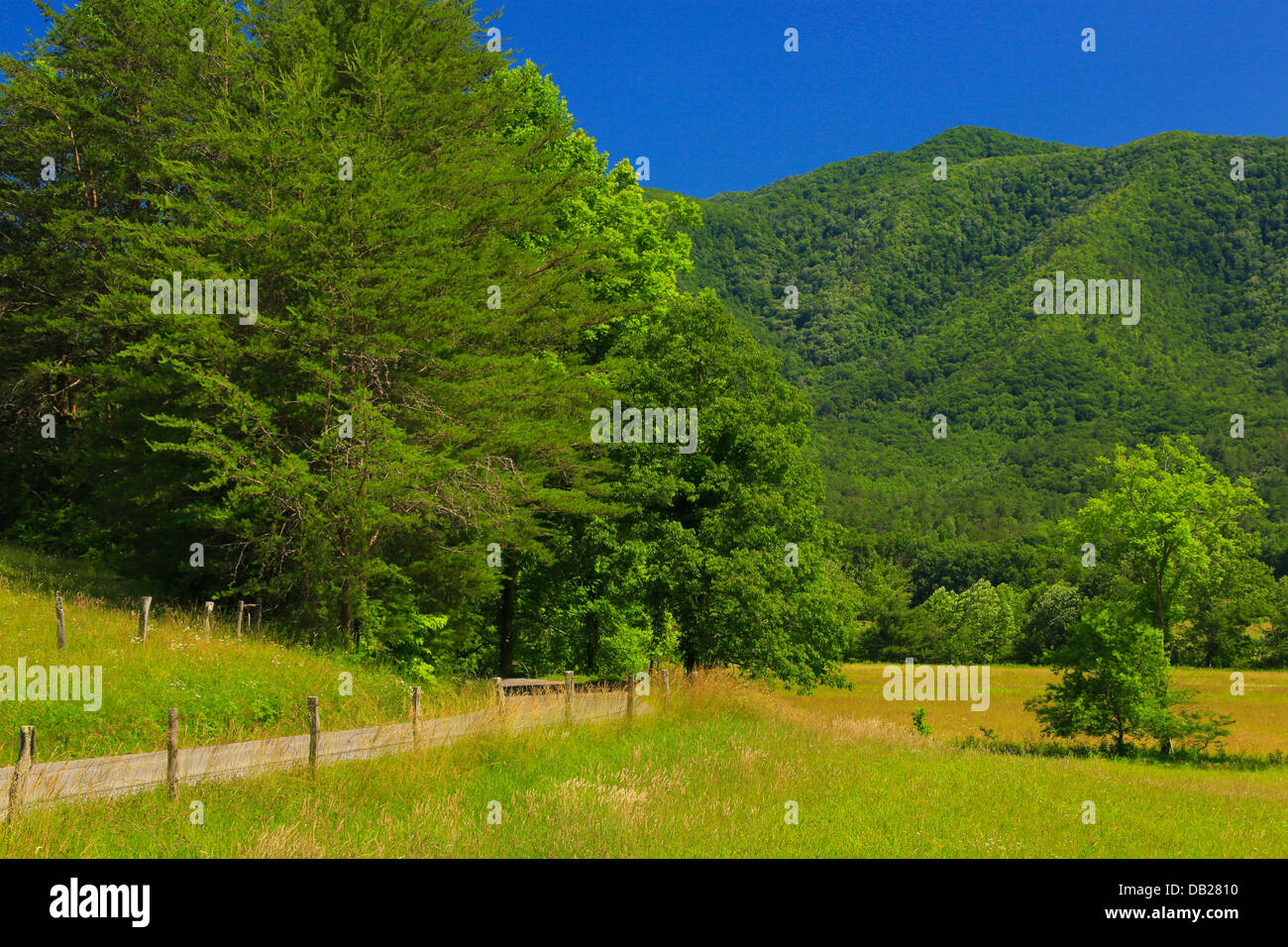 Meadow, Cades Cove, Great Smoky Mountains National Park, Tennessee, USA ...