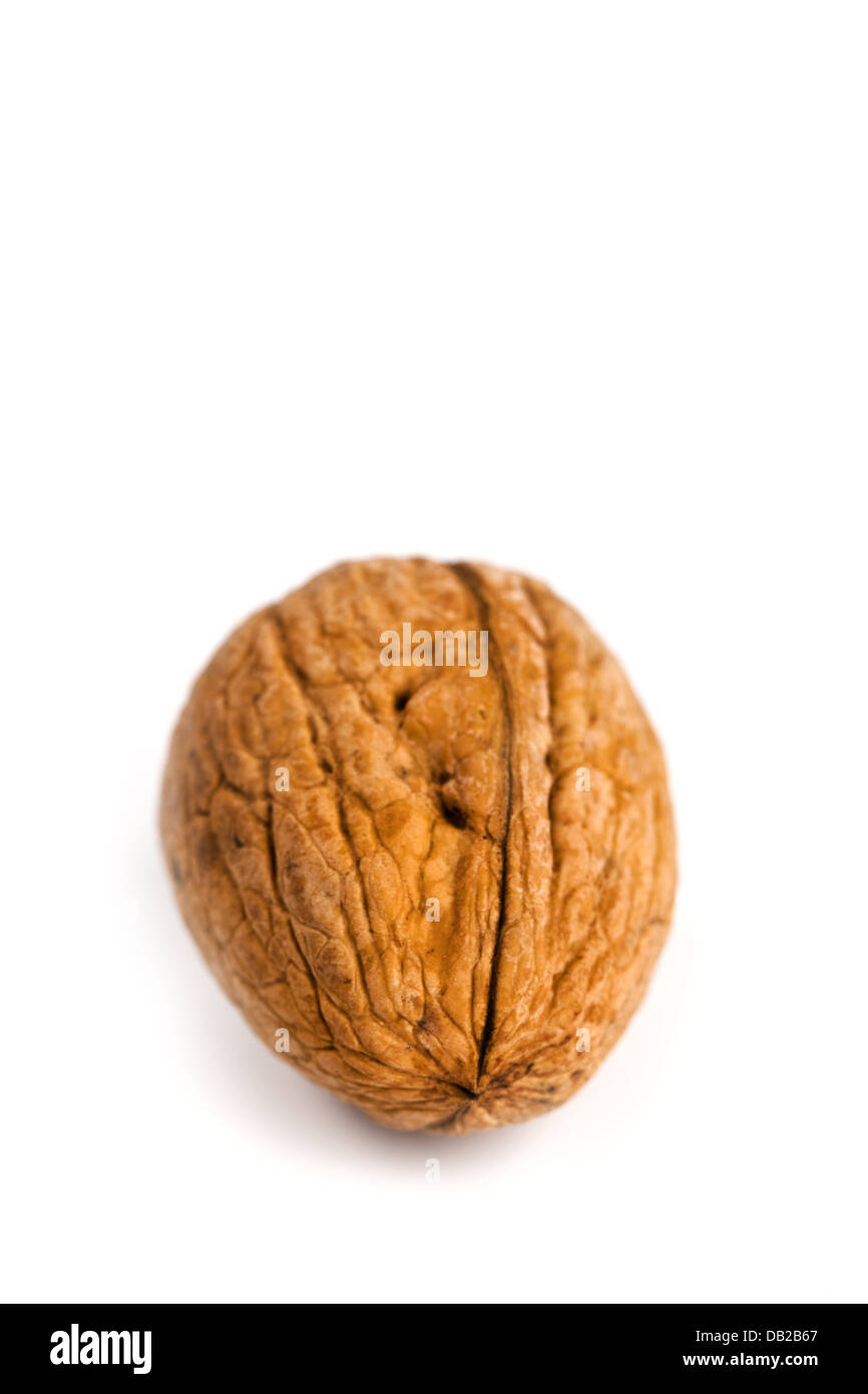 single fresh walnut Stock Photo - Alamy