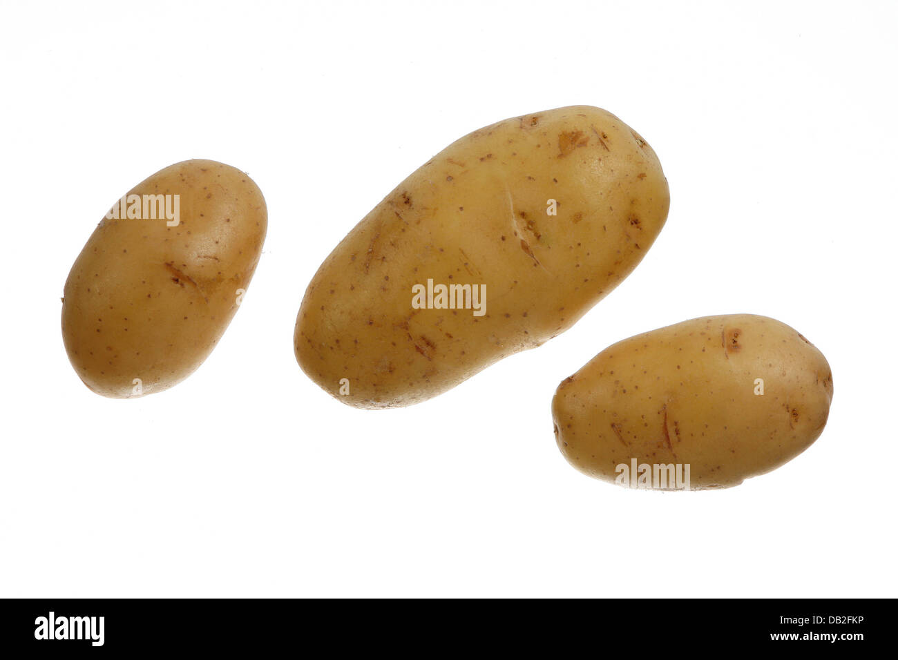 6 potatoes Cut Out Stock Images & Pictures - Alamy