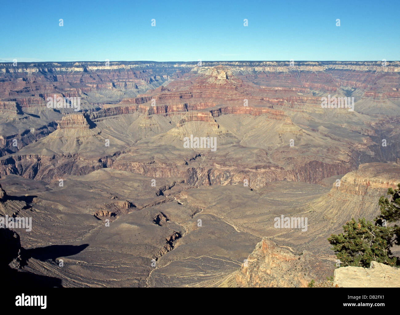 View of the North Rim from the South Rim, The Grand Canyon, Grand ...