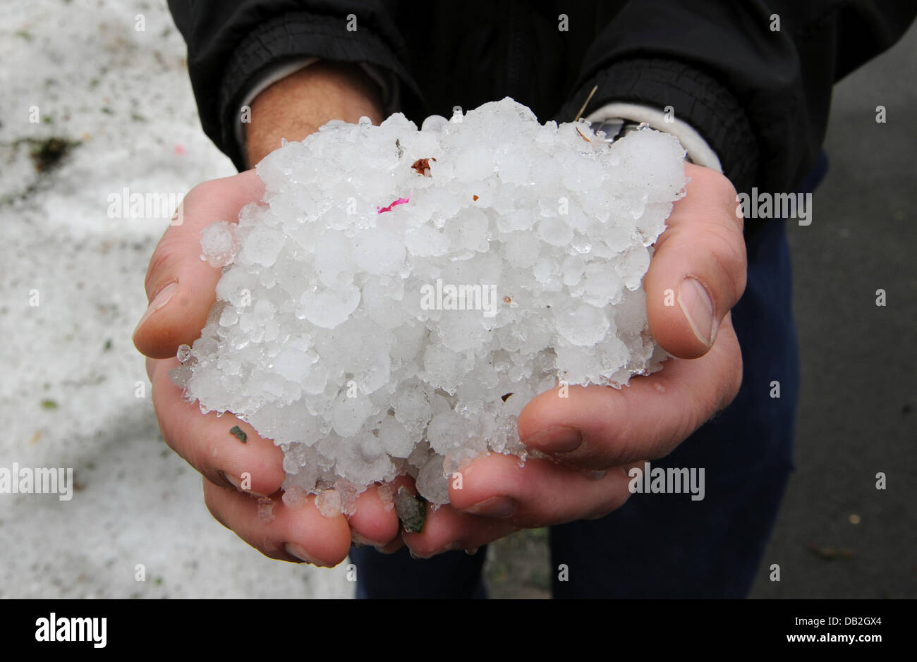 A hand full of hail is presented after a heavy thunderstorm in ...