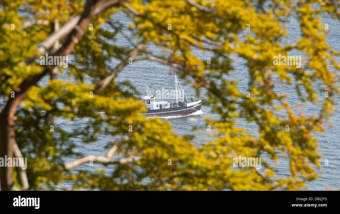 A ship is pictured on the Baltic Sea through the branches of a tree on ...