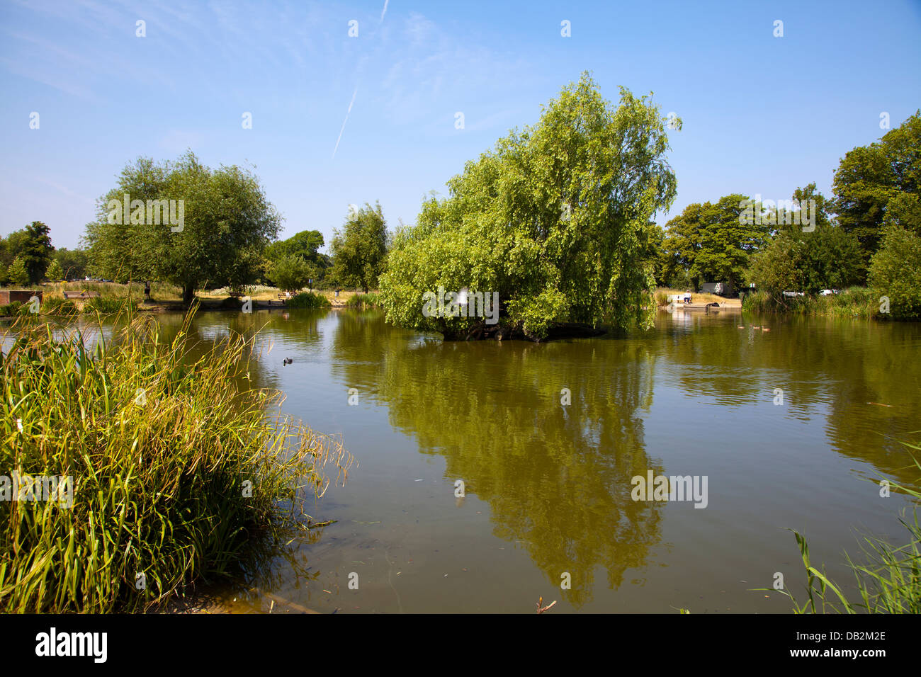 Pond clapham common hi-res stock photography and images - Alamy