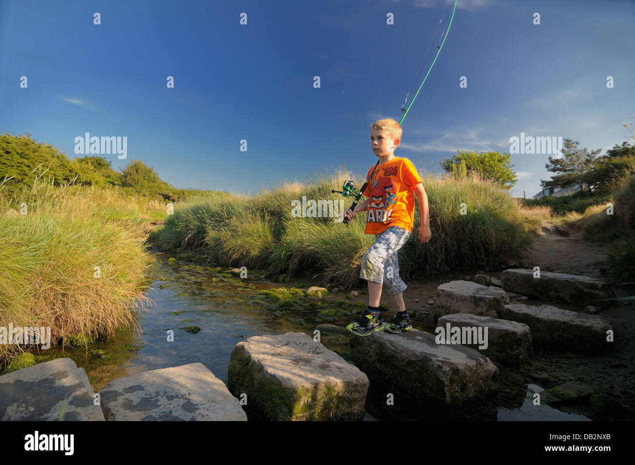 Teifi Estuary High Resolution Stock Photography and Images - Alamy