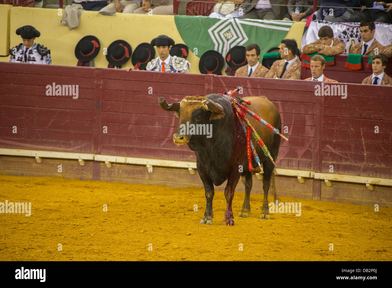 Bullfight at Campo Pequeno, Lisboa, Portugal Stock Photo - Alamy