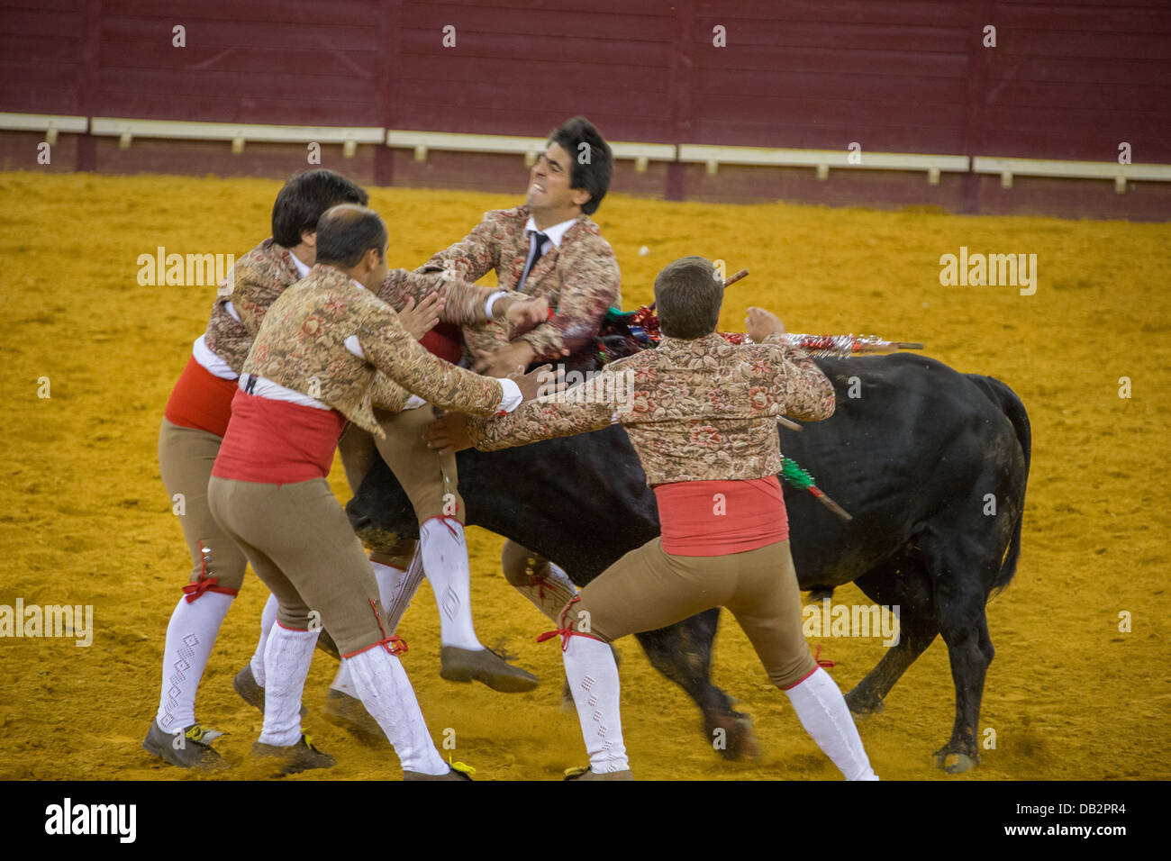 Bullfight at Campo Pequeno, Lisboa, Portugal Stock Photo - Alamy