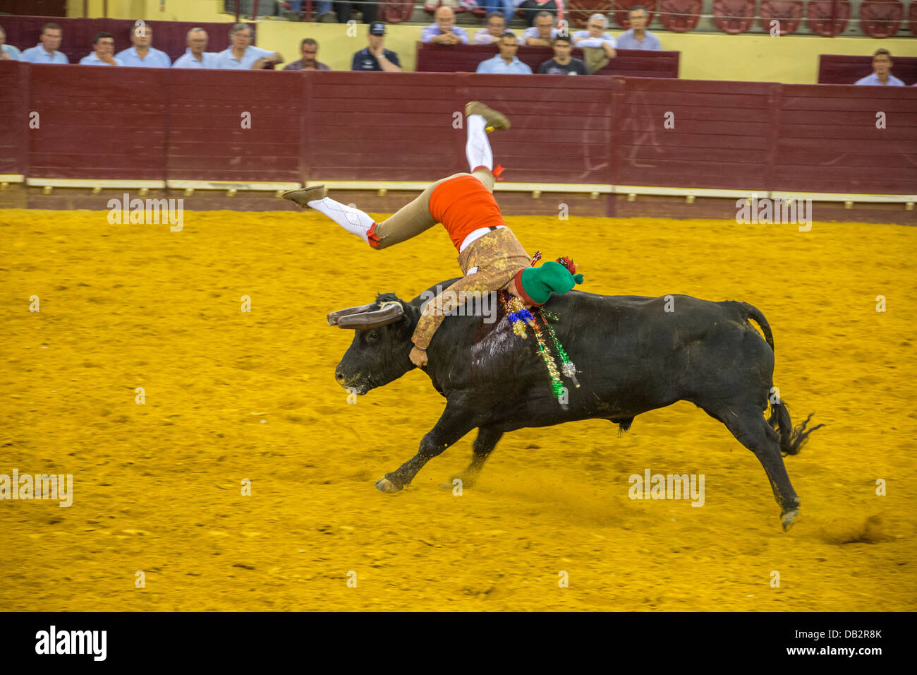 Bullfight at the Campo Pequeno, Lisboa, Portugal Stock Photo - Alamy
