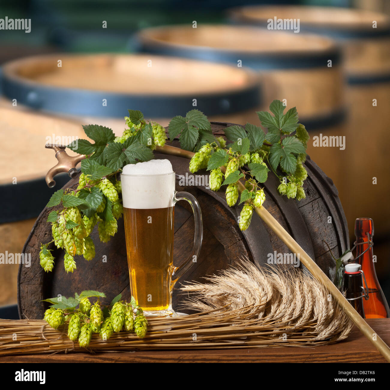 beer and hop cones Stock Photo - Alamy