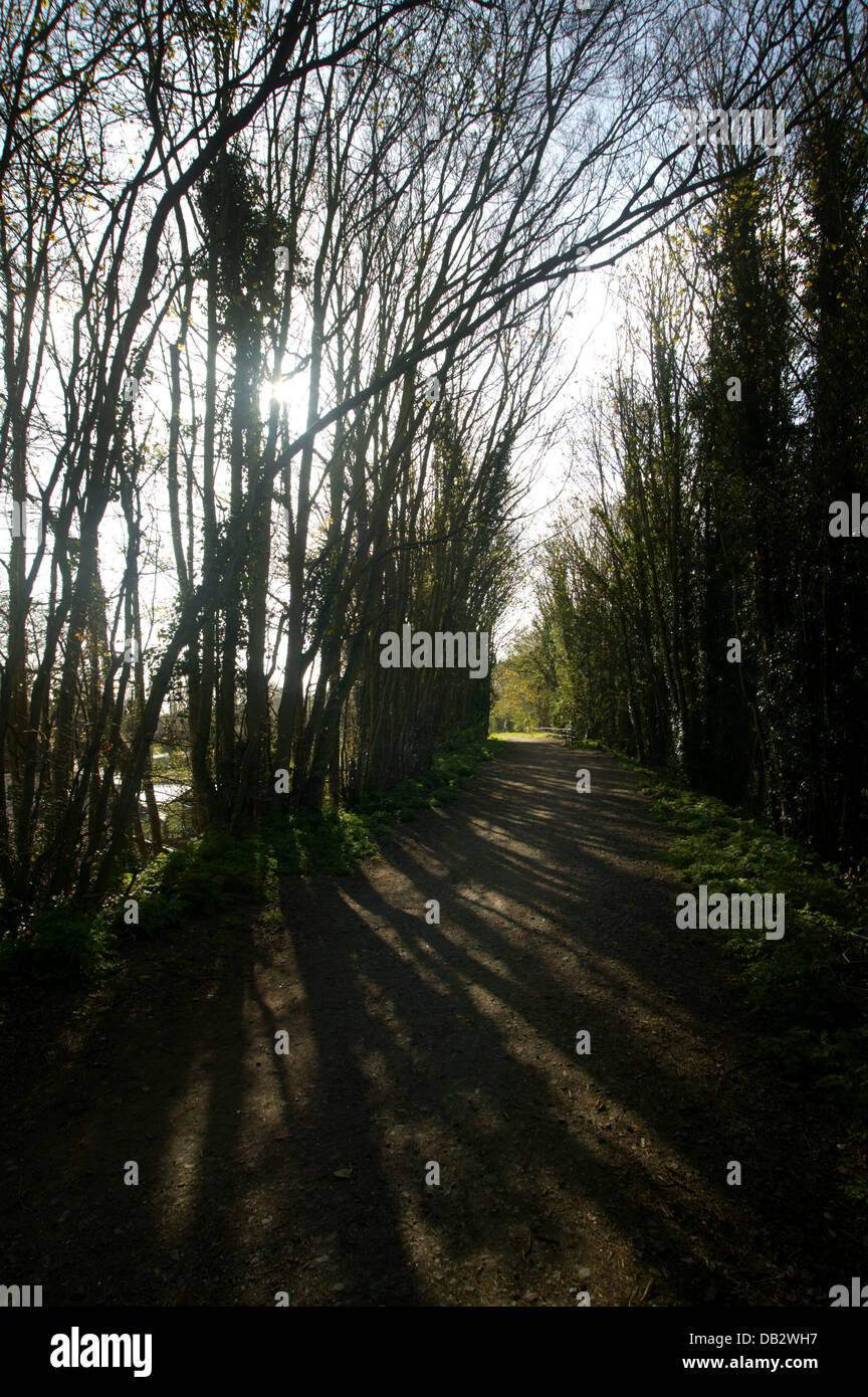 Sun life cycle hi-res stock photography and images - Alamy