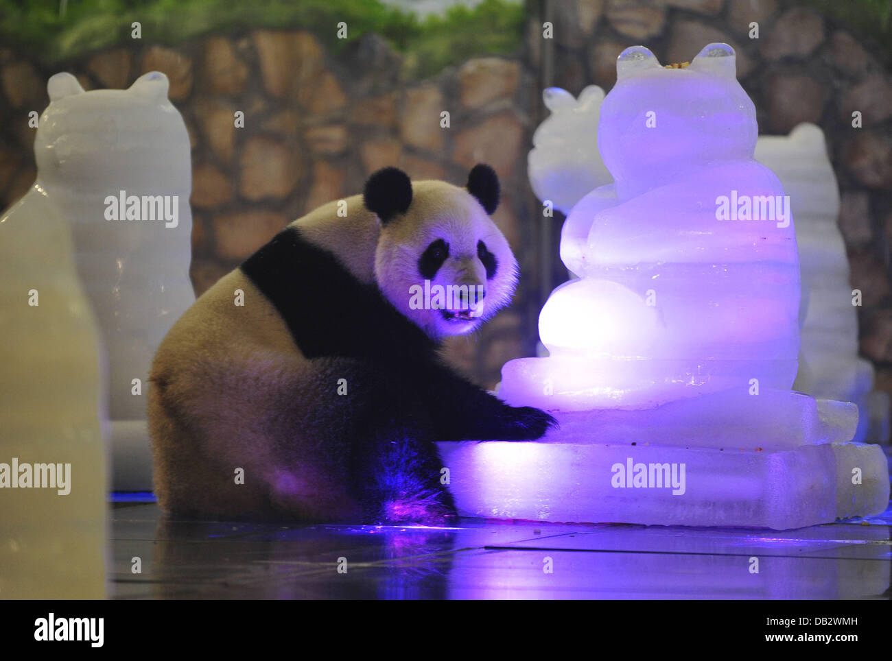 Mei Lan Makes Even The Coolest Panda's Melt Panda Mei Lan touches the ...