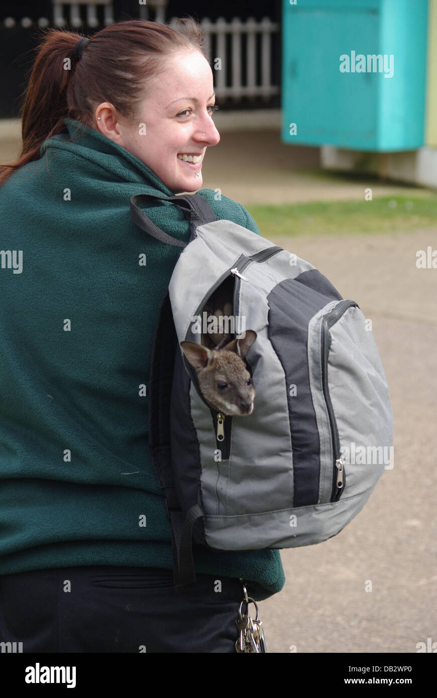 Bouncing word hi-res stock photography and images - Alamy