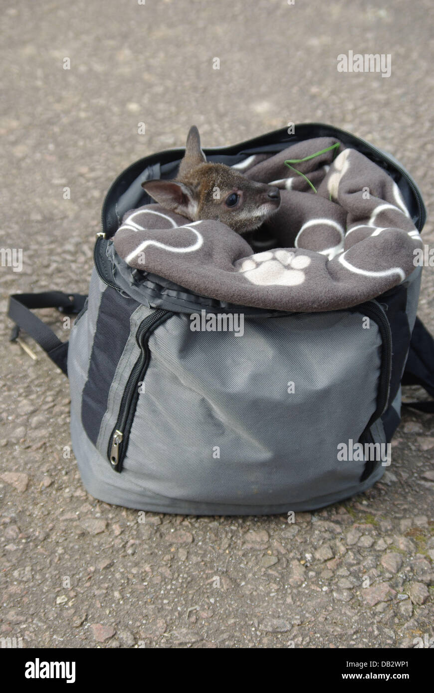 Mums the word hi-res stock photography and images - Alamy