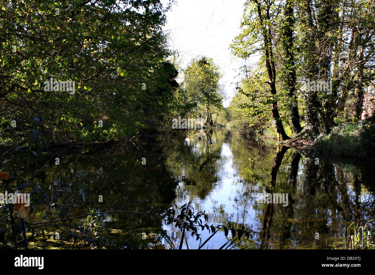 Deep rich colors hi-res stock photography and images - Alamy