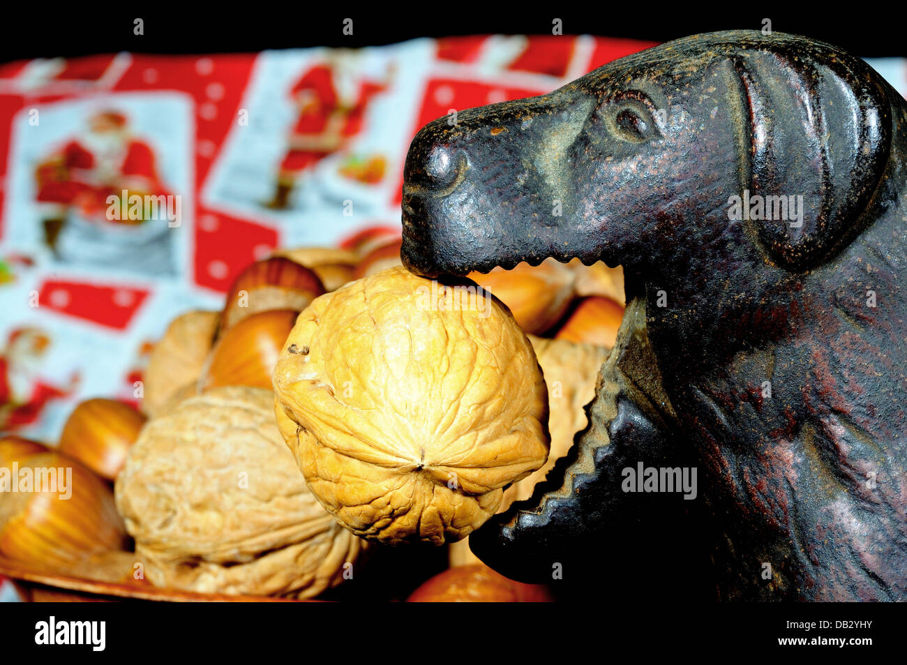 Novelty dog nutcracker with a walnut in it’s mouth Stock Photo - Alamy