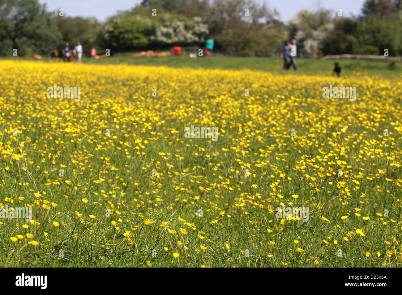 Nice environment hi-res stock photography and images - Alamy