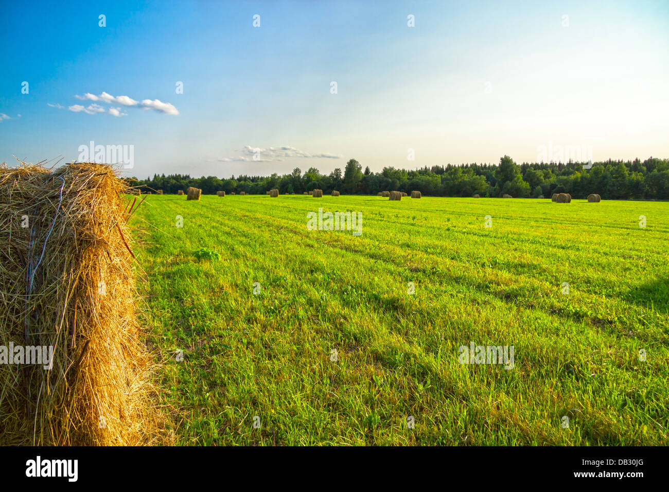 summer rural landscape with a field and hay Stock Photo - Alamy
