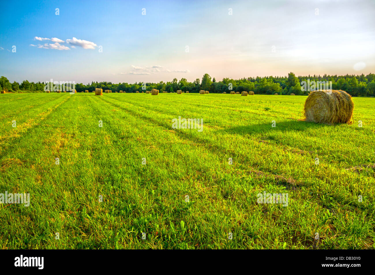 summer rural landscape with a field and hay Stock Photo - Alamy