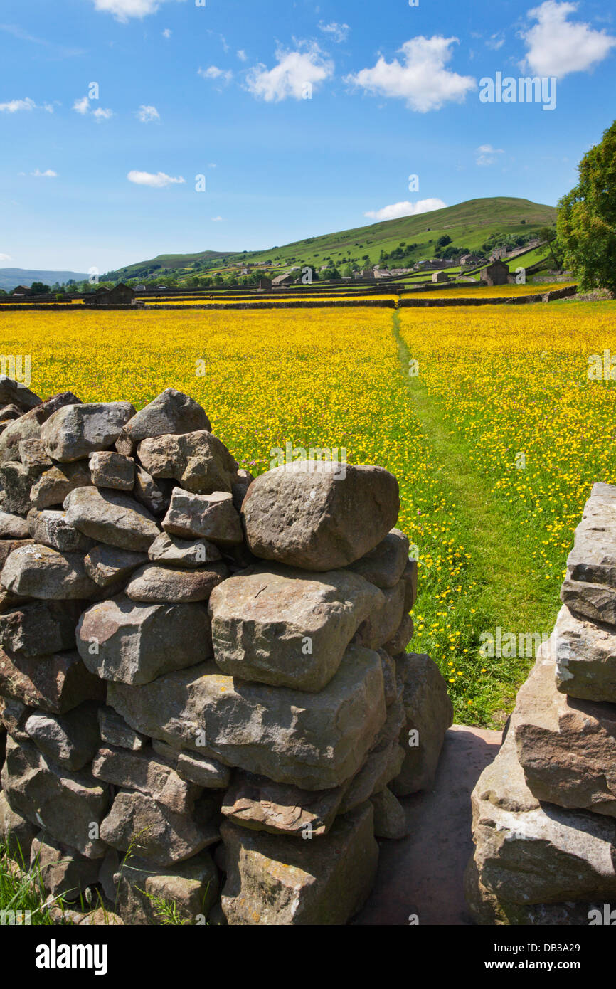 Squeeze Stile and Path across Buttercup Meadows at Gunnerside in ...