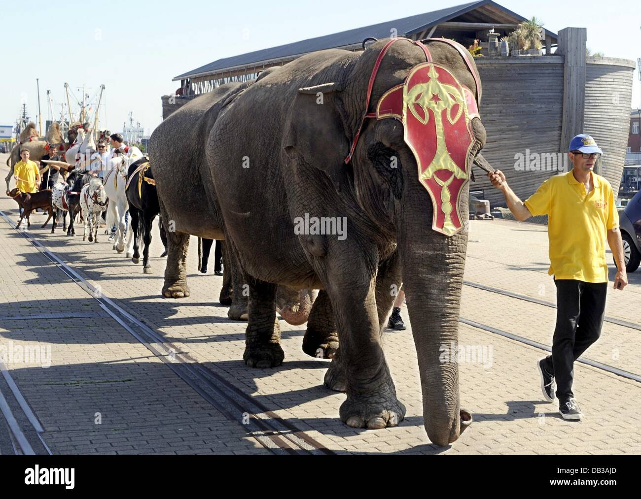Some animals of Circus Renz stand in pairs in front of Europe's first ...