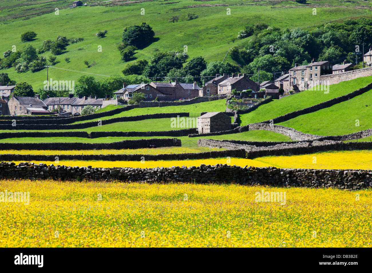 Buttercup Meadows and Gunnerside Village in Swaledale Yorkshire Dales ...