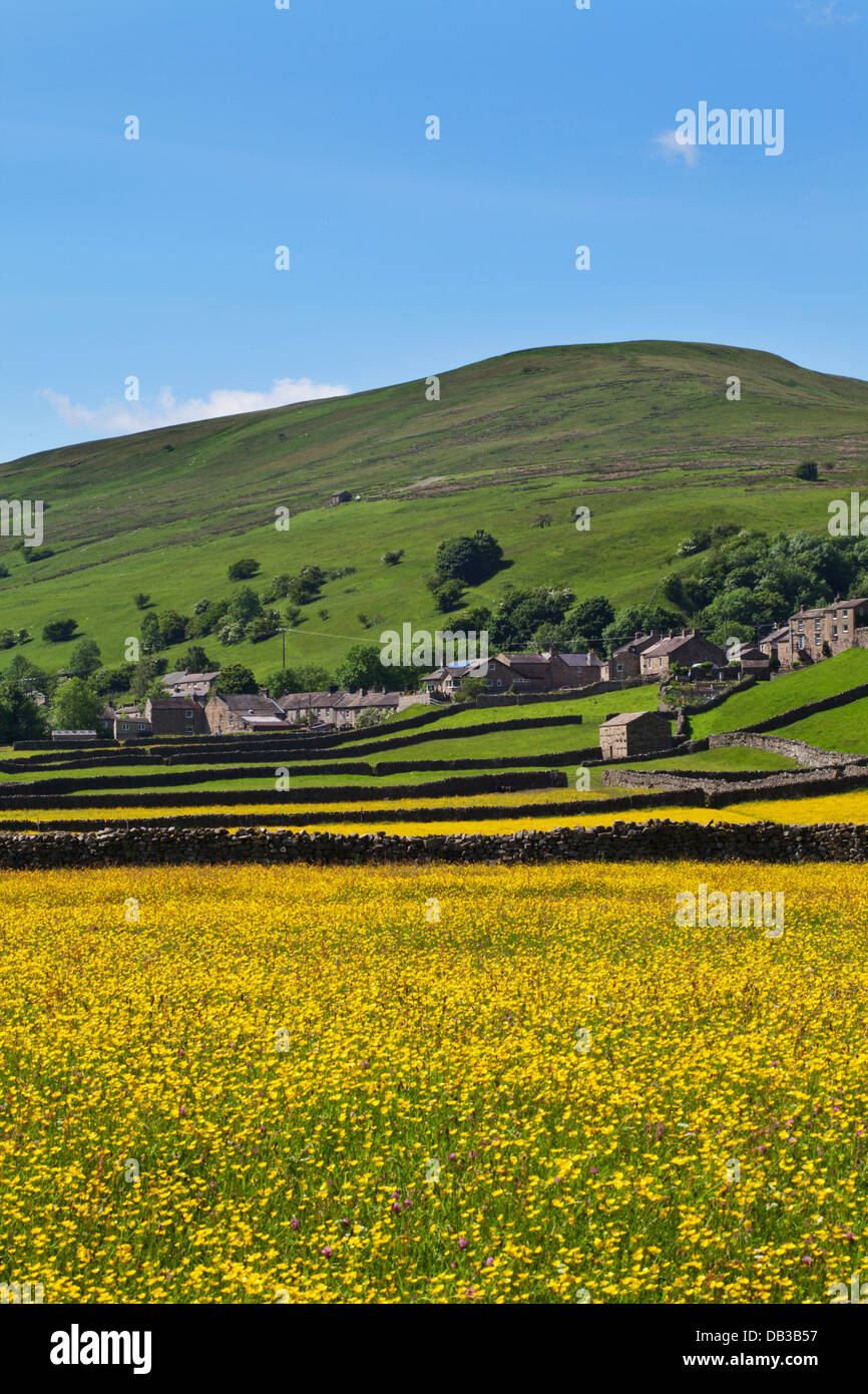 Buttercup Meadows and Gunnerside Village in Swaledale Yorkshire Dales ...