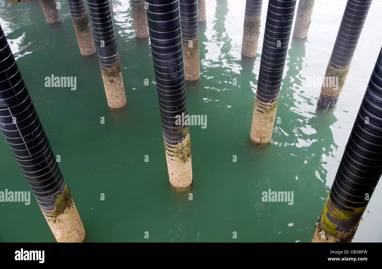 Column and pillars hi-res stock photography and images - Alamy