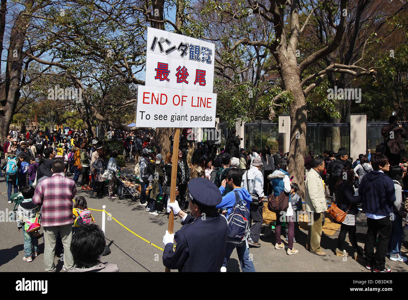 Atmosphere The first public appearance of two giant pandas from China ...