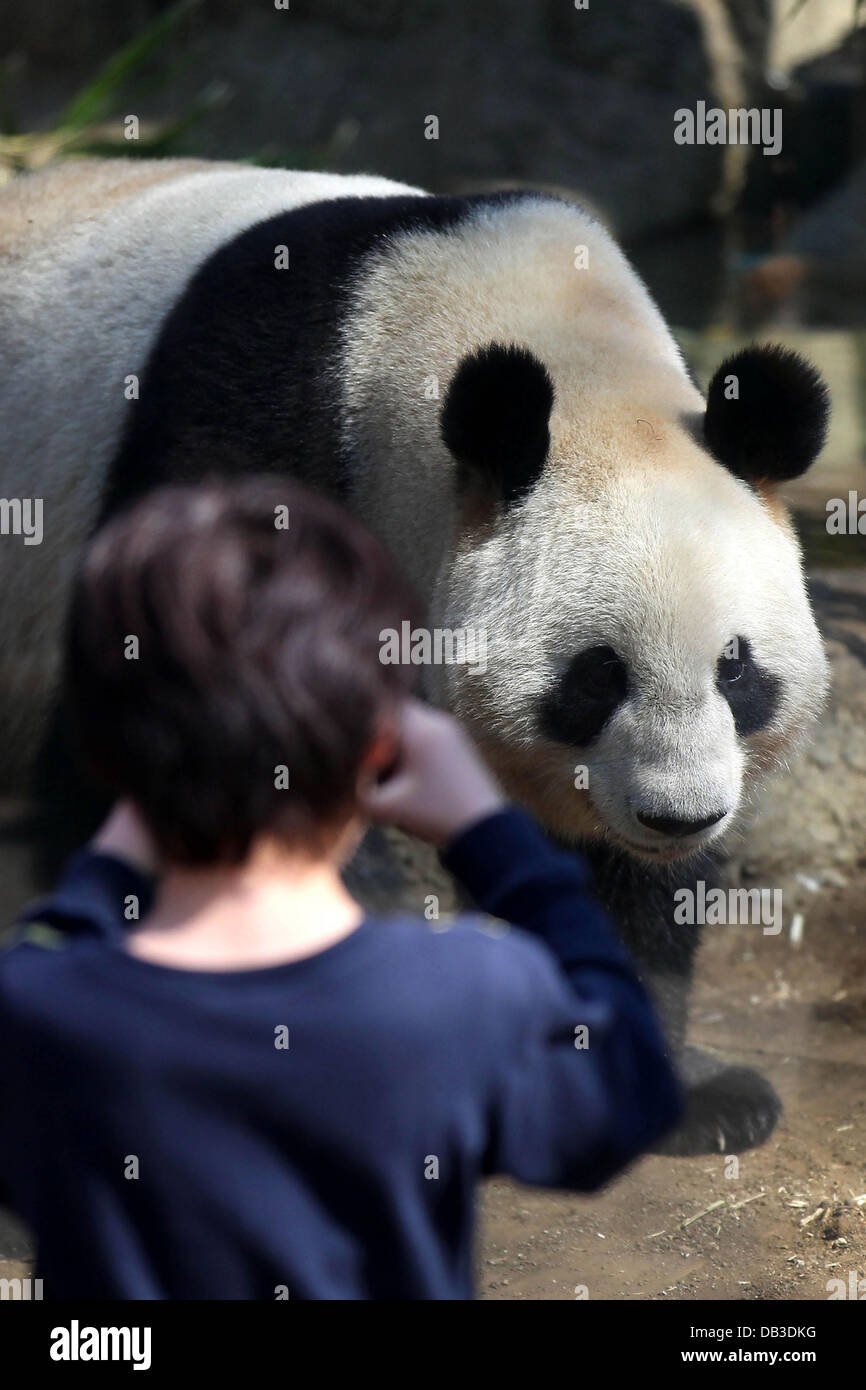 Female panda 'Shin Shin' The first public appearance of two giant ...